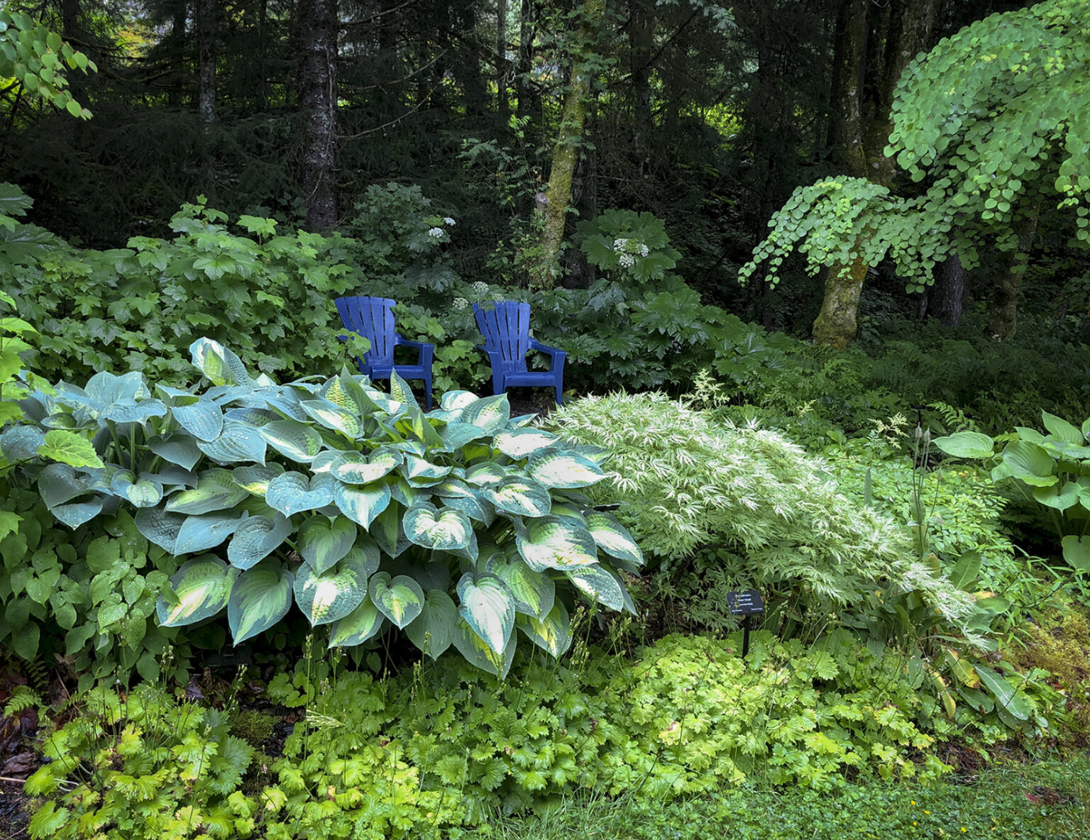 Welcome - Friends of Jensen-Olson Arboretum