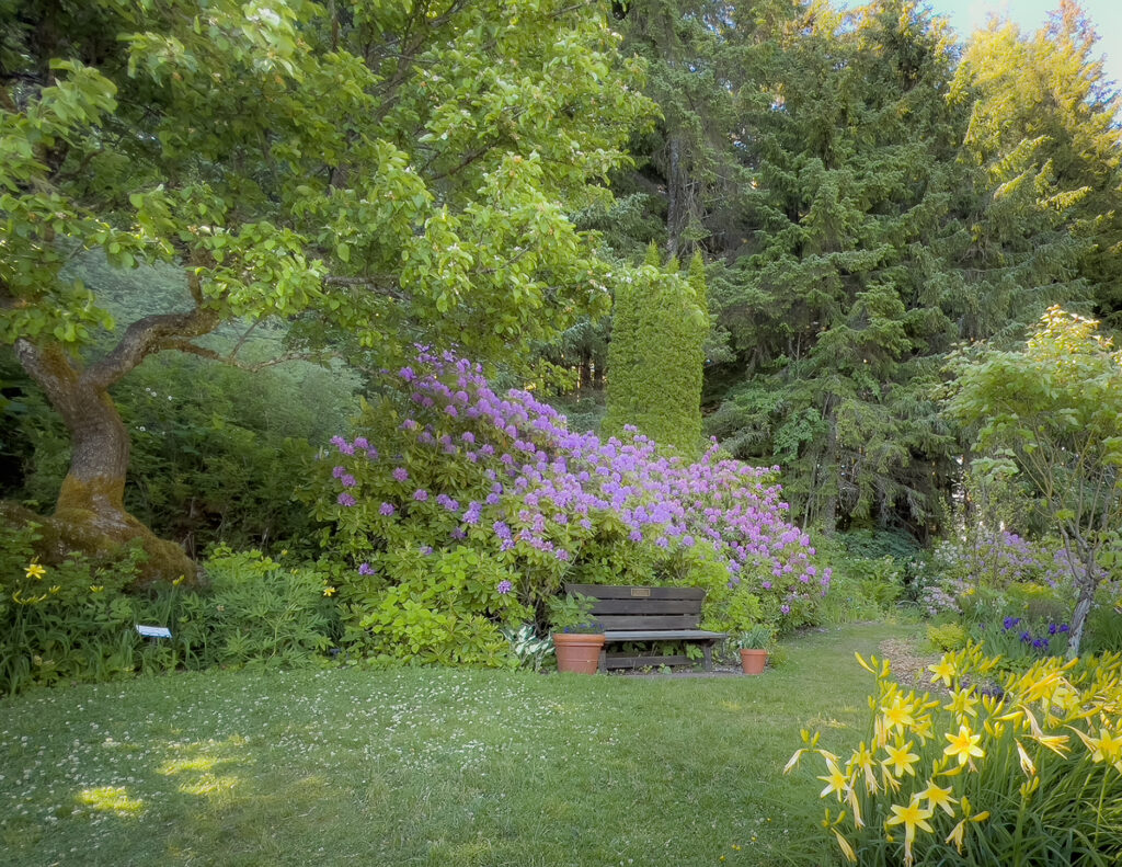 Apple Tree Bench - Friends of Jensen-Olson Arboretum