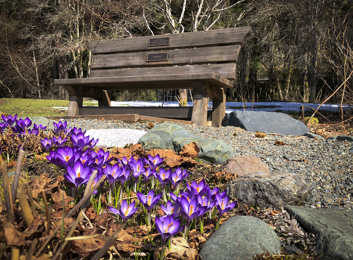 Southeast Bench - Friends of Jensen-Olson Arboretum